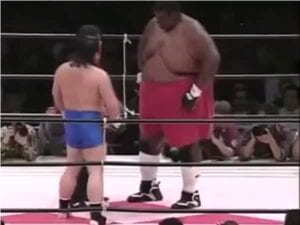 10 Times Goliath Demolished David In MMA