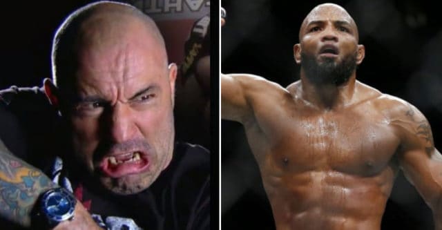 Joe Rogan Reacts To Yoel Romero's Brutal Knockout At UFC 221
