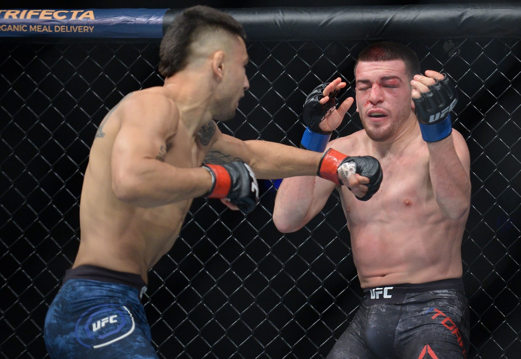 Highlights: Rising UFC Flyweight Destroys Unbeaten Prospect