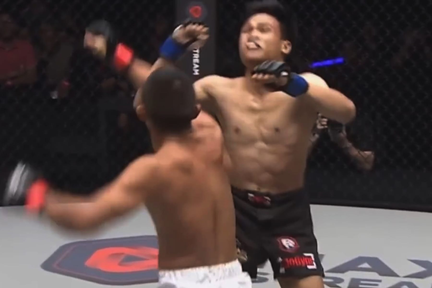 Boxing Uppercut Knockout