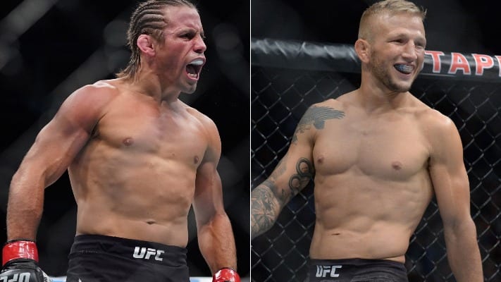 Urijah Faber Explains Why He Doesn't Want TJ Dillashaw Fight Urijah Faber Explains Why He Doesn't Want TJ Dillashaw Fight
