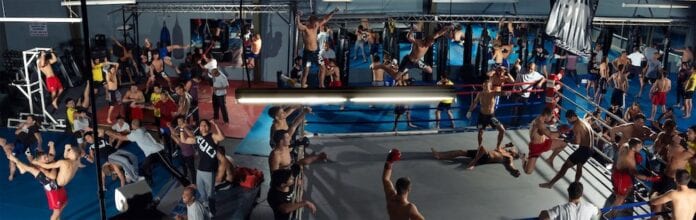 Team Alpha Male - MMA Gym