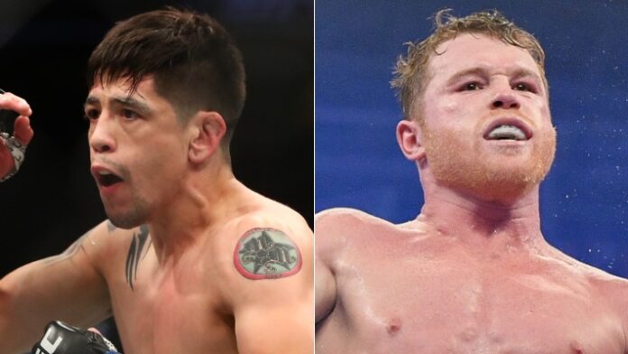 Brandon Moreno Gets Body Striking Tips From Boxer Canelo Alvarez