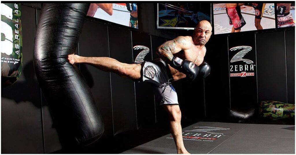 VIDEO | Joe Rogan Smashes Heavy Bag With Spinning Back Kicks