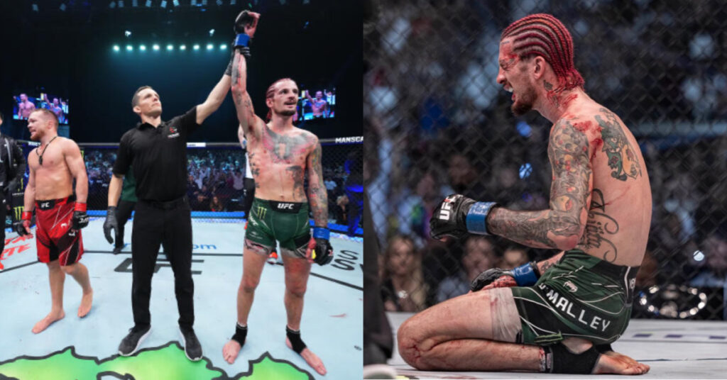 Sean O'Malley Vows He Will Become The Bantamweight Champion Following ...