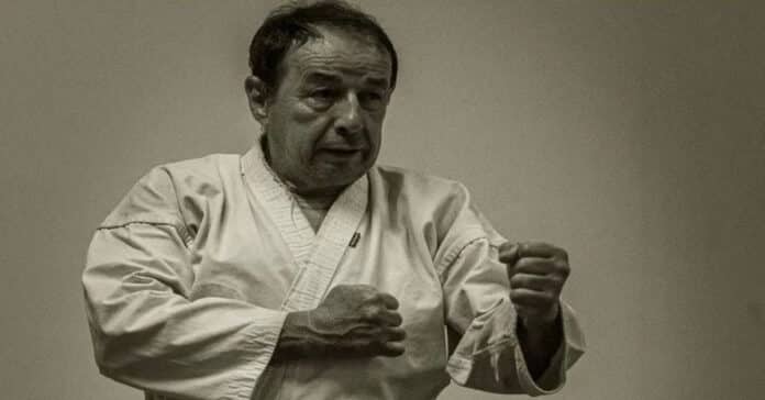 What Is A Sensei In Karate?