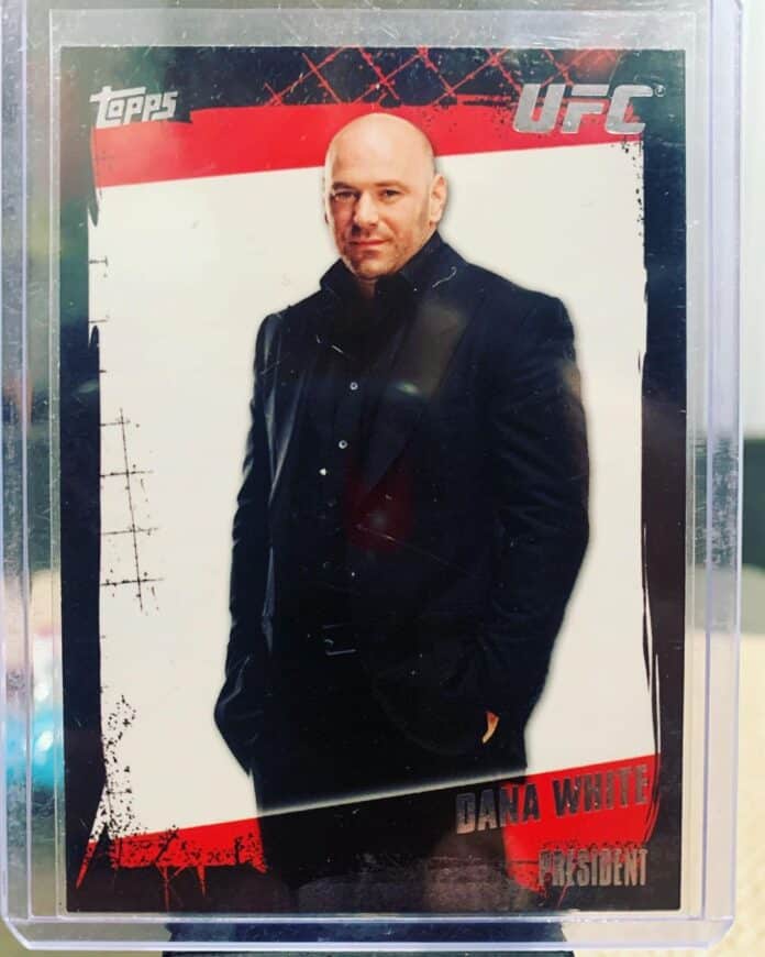 UFC Owner: Who Owns The UFC?