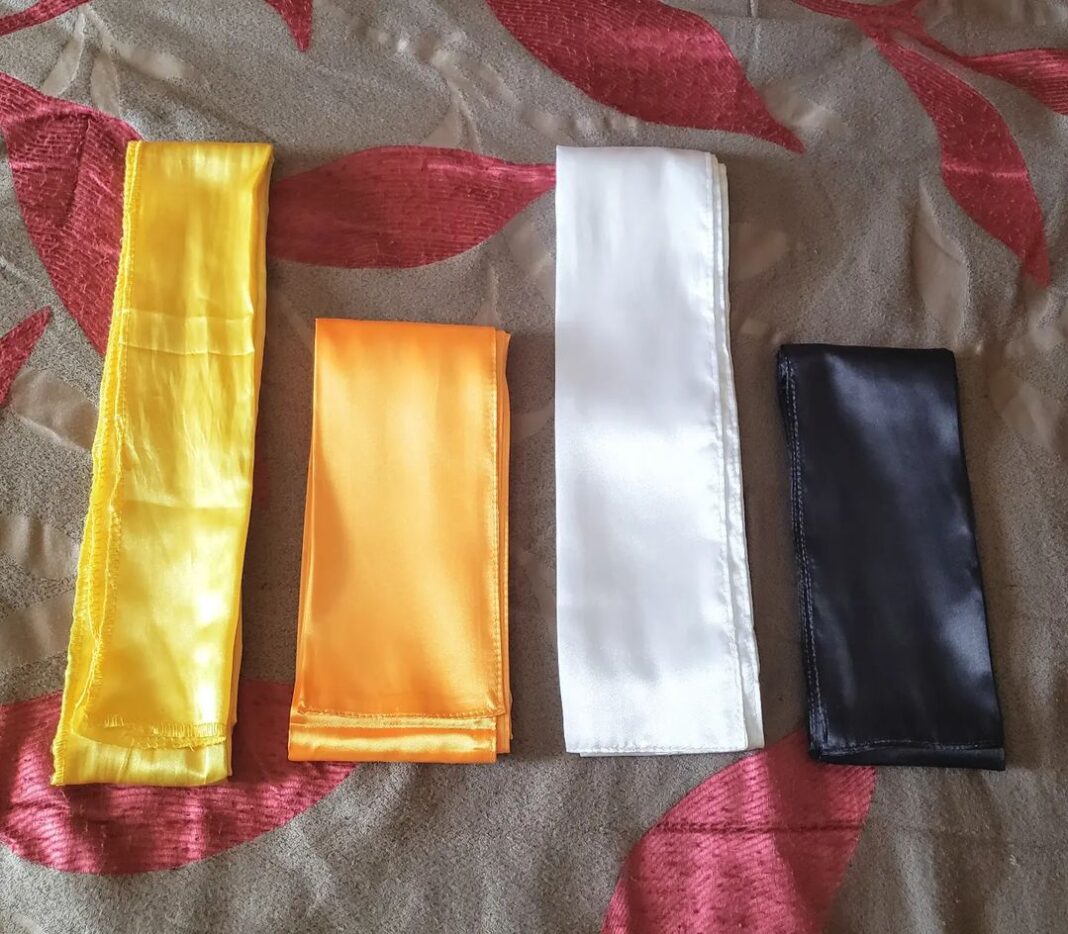 Kung Fu Belt Order: Ranking System Explained