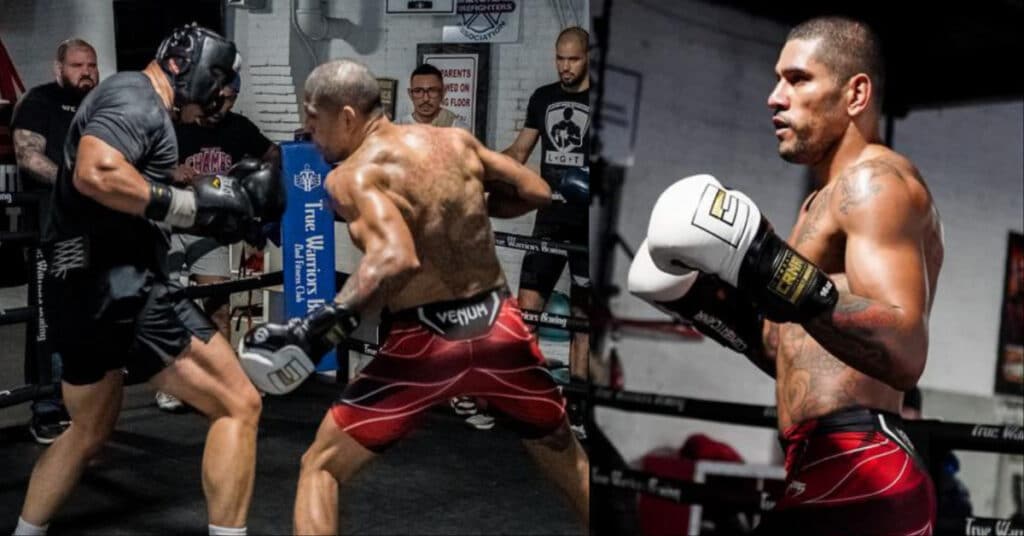 Alex Pereira Details 'dangerous Sparring' Session With Heavyweight ...