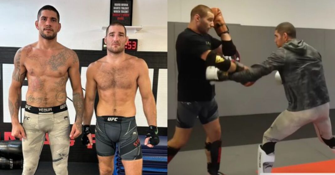 Alex Pereira Trains With Former Octagon Foe Sean Strickland Ahead Of ...