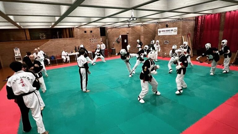 Korean Martial Arts: A Comprehensive List