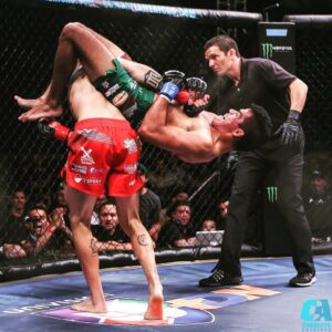 Jason Herzog: MMA Referee