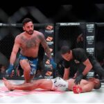 Jason Herzog: MMA Referee