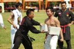 Pencak Silat: The Indonesian Martial Art