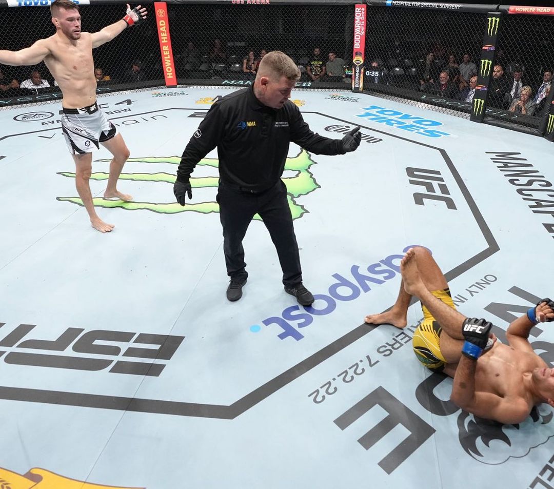 The Best UFC Referees [Updated List]