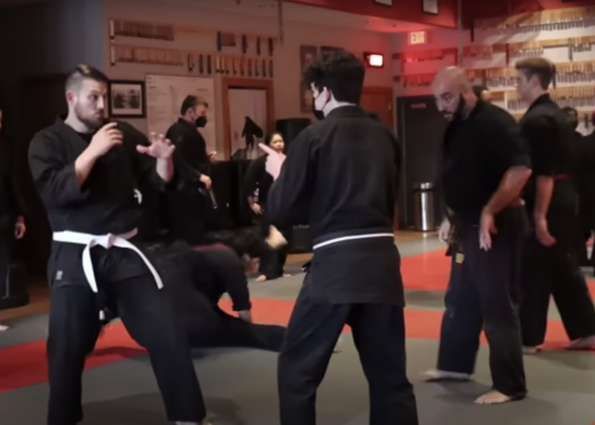 Ninjutsu: The Art Of The Ninja