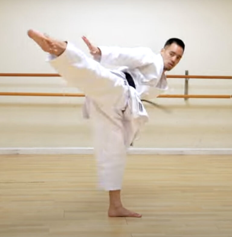 Karate Kicks: A Full List