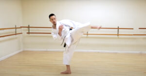Karate Kicks: A Full List