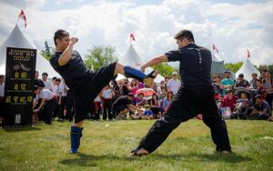 Types Of Kicks: A List Of Kicks From Different Martial Arts