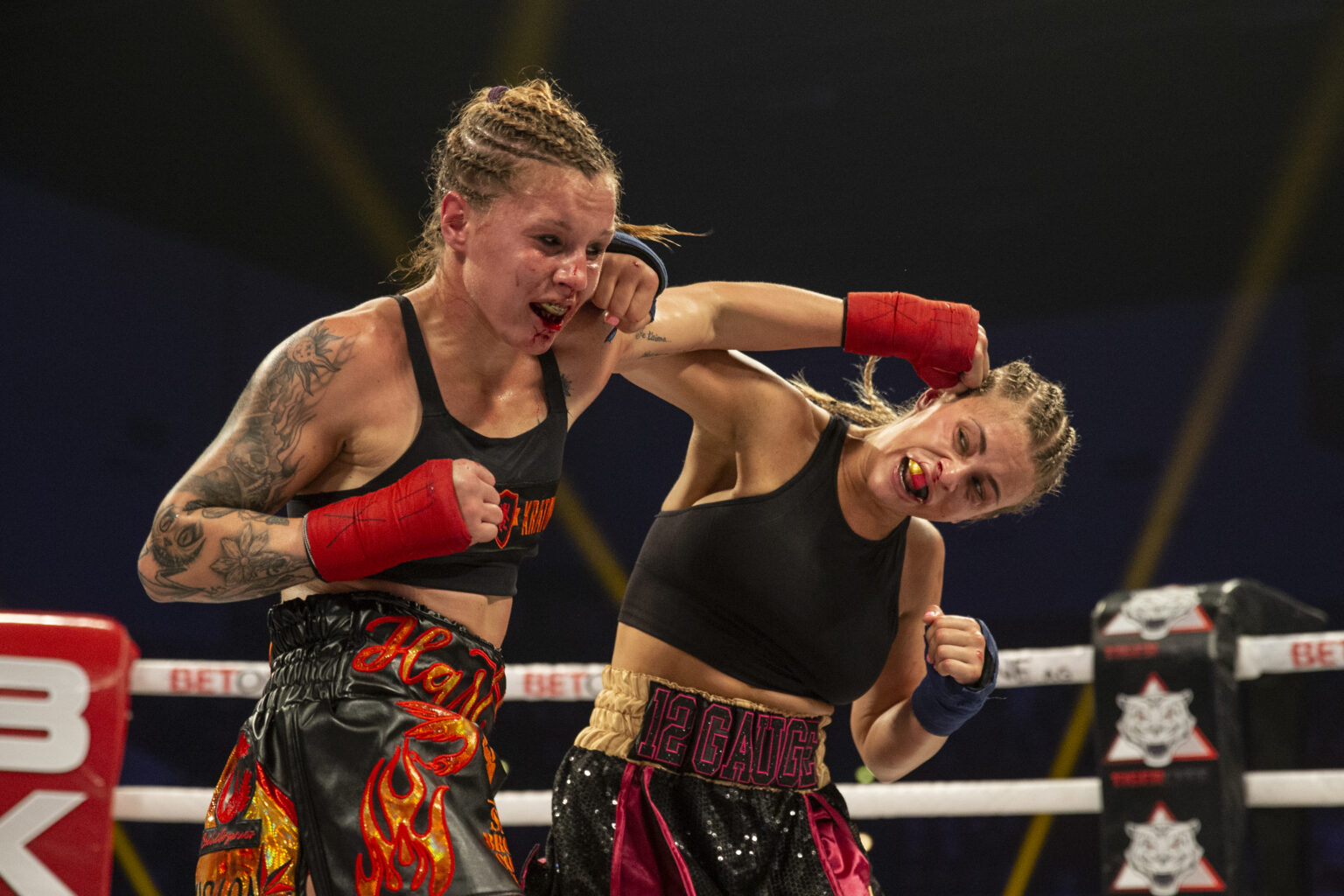 DAZN Leaks Elle Brooke Vs. Paige VanZant Main Event Fight For Misfits ...
