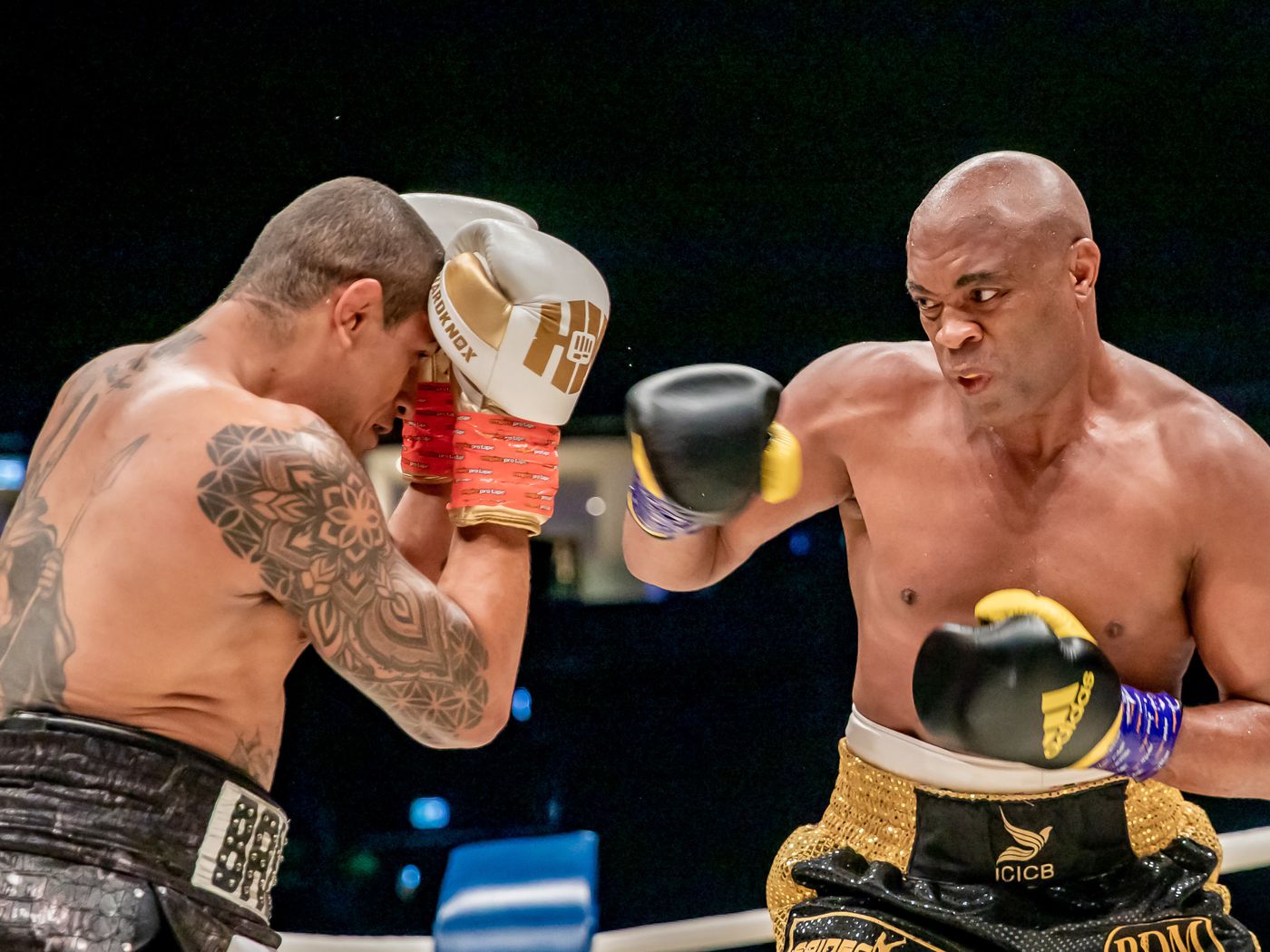 Actor Terry Crews Challenges UFC Icon Anderson Silva To A Fight On June ...