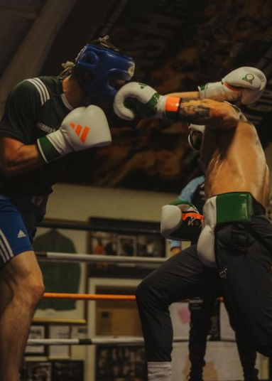Video - Conor McGregor Rocks Sparring Partner In Brand New Training ... Video - Conor McGregor Rocks Sparring Partner In Brand New Training ...