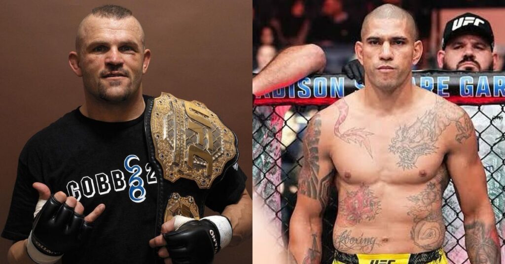5 Best Light Heavyweights In UFC History