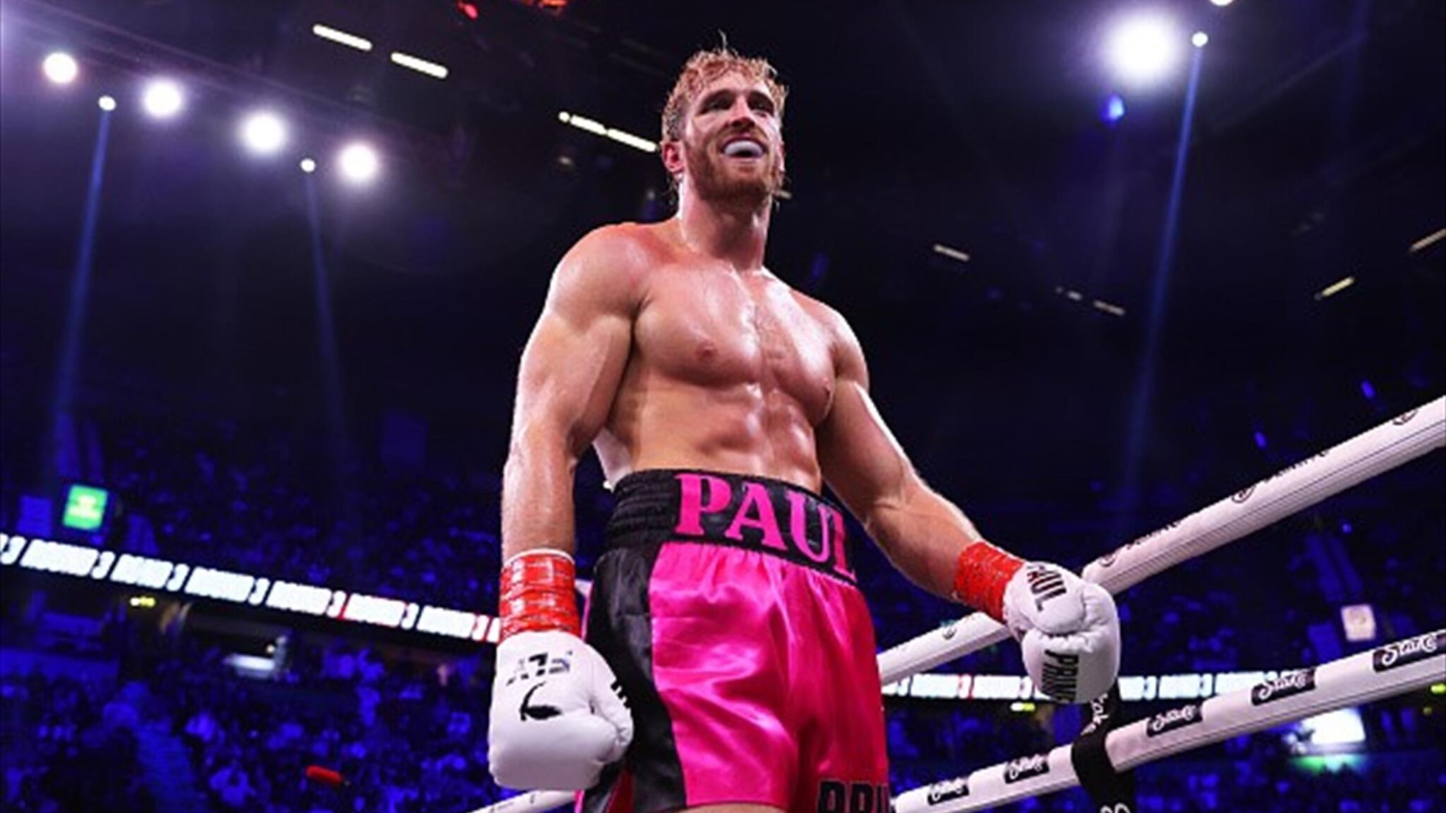 Conor McGregor, Logan Paul Boxing Match Only A Pipedream According To ...