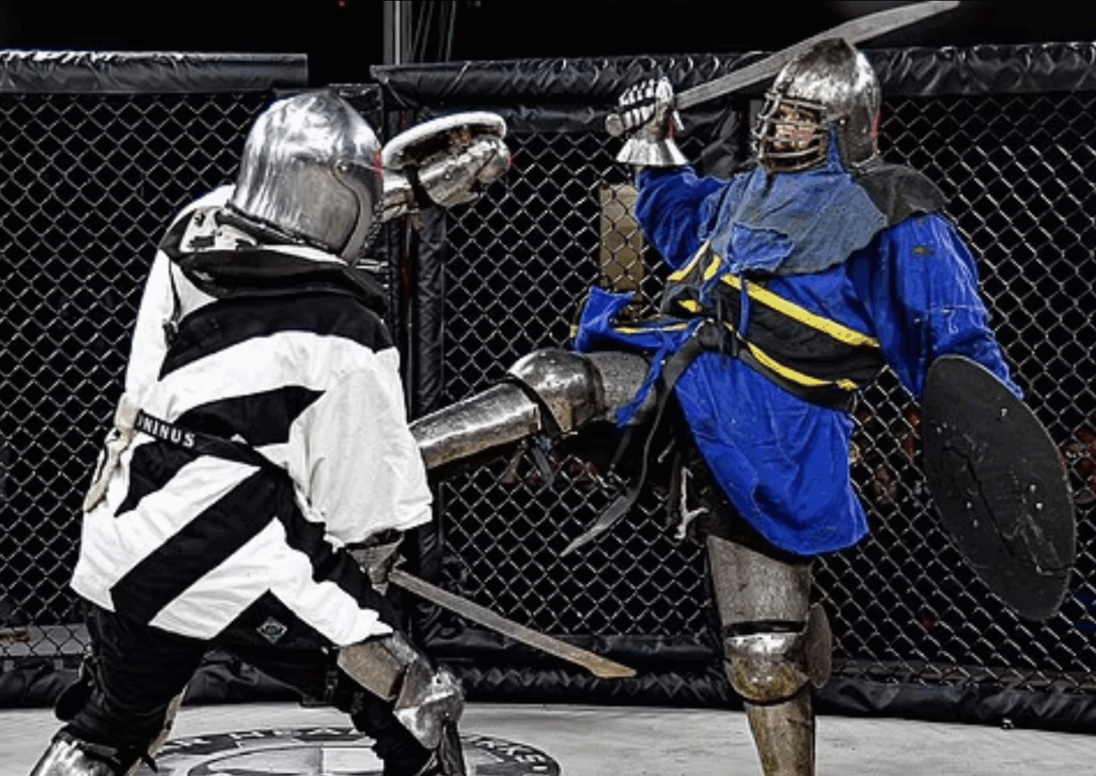 AMMA: The Next Big Combat Sport?