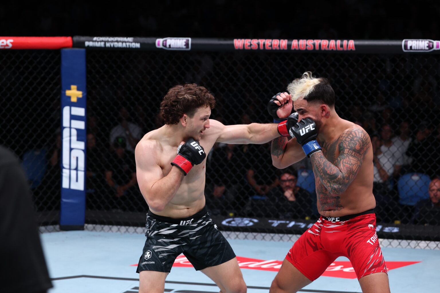 Jack Jenkins Roars Back Into The Win Column, Overwhelms Ramon Taveras ...