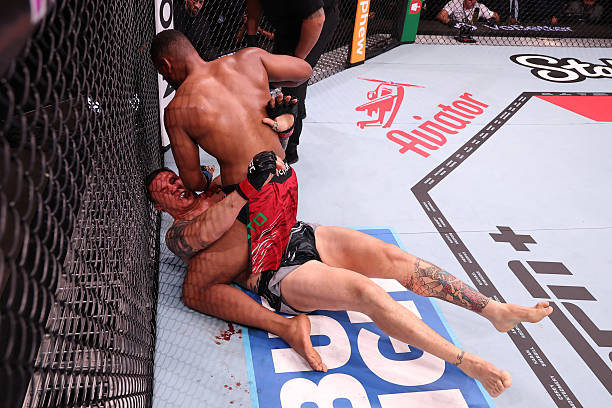 Huge Heavyweight Prospect Mario Pinto Demolishes Jhonata Diniz - UFC ...