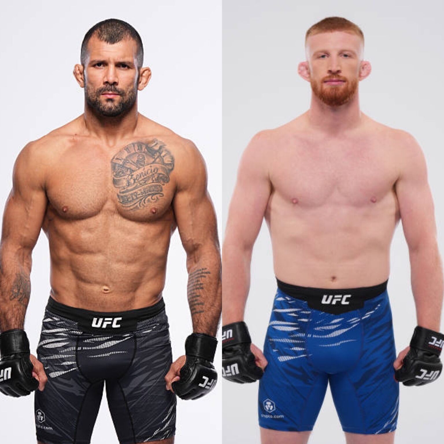 UFC 322 Betting Preview Bo Nickal Vs Rodolfo Vieira