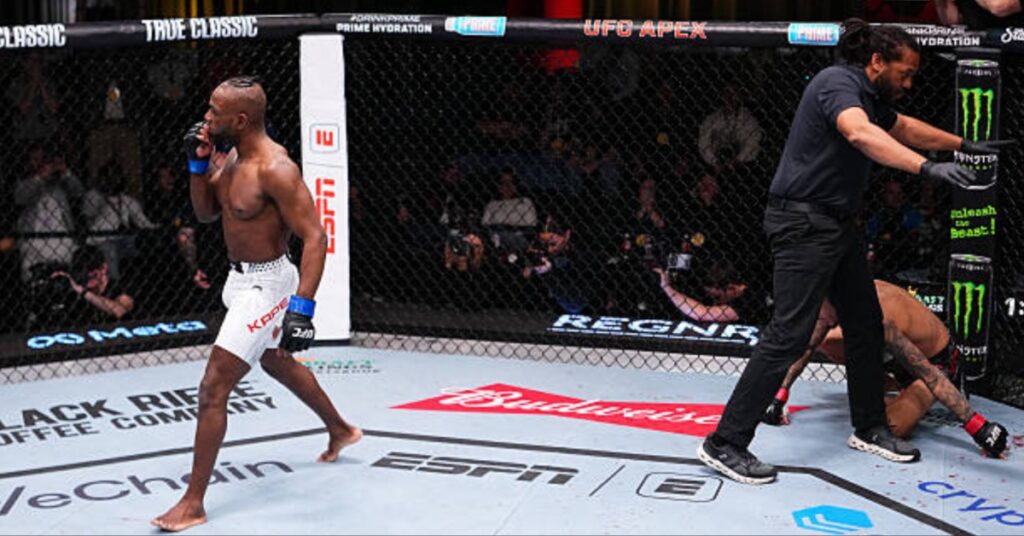 What Is A No Contest In The UFC?